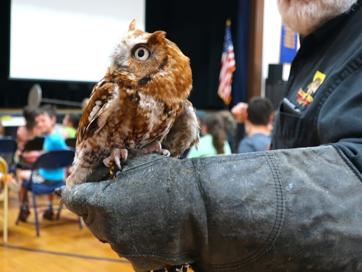 News | Indian Lake Central School District